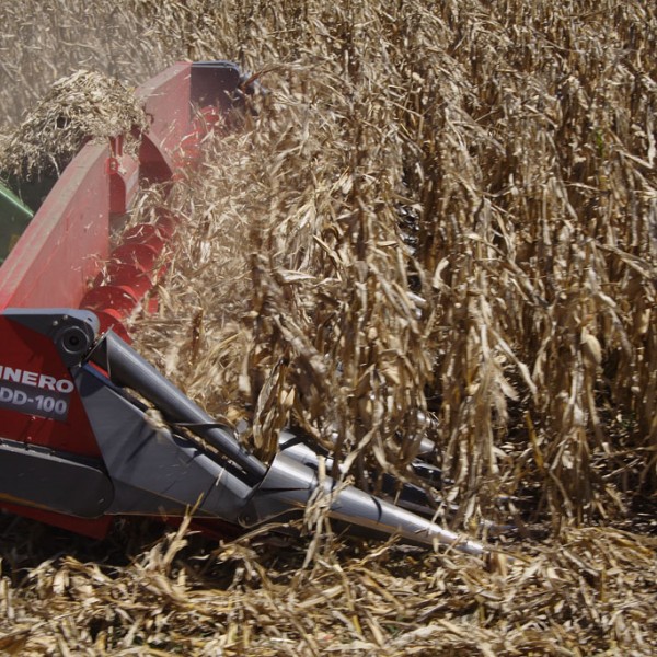 Mainero | MDD-100 ROW INDEPENDENT CORN HEADER - Mainero