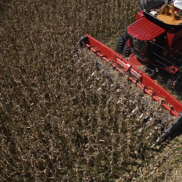 Mainero | MDD-100 ROW INDEPENDENT CORN HEADER - Mainero