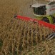 Mainero | Agricultural implements